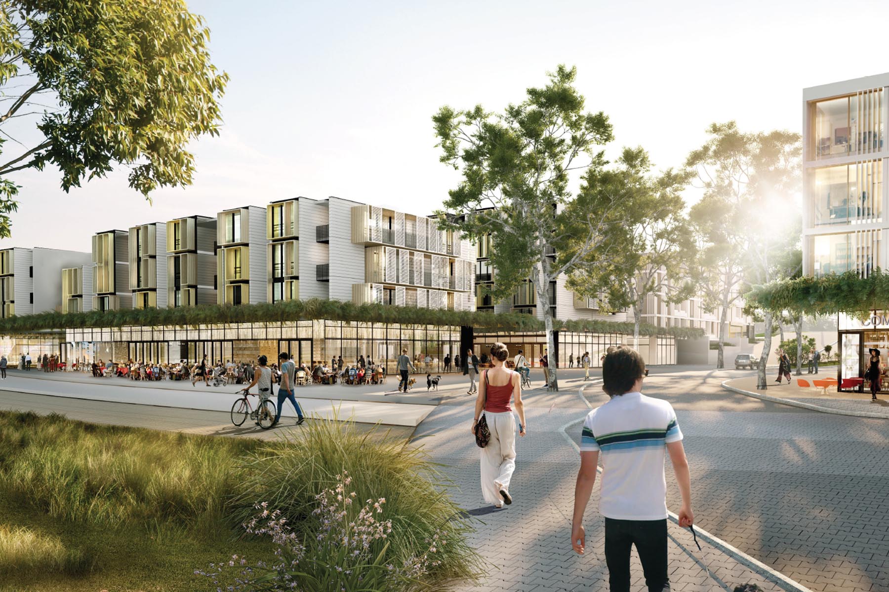 Airds Town Centre Renewal – Essence Project Management